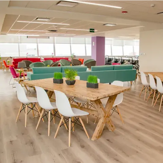 Minsur – DLN PROYECTOS