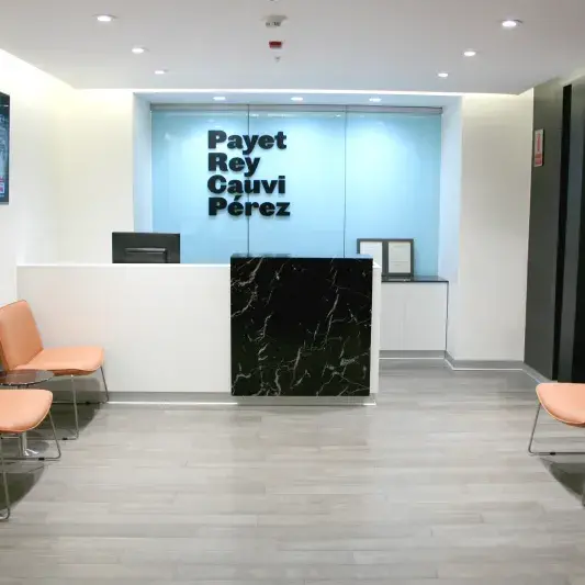 Rimac – DLN PROYECTOS