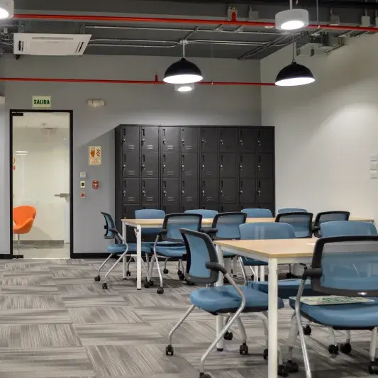 Rimac – DLN PROYECTOS